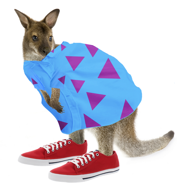 Rocko but real | Fandom