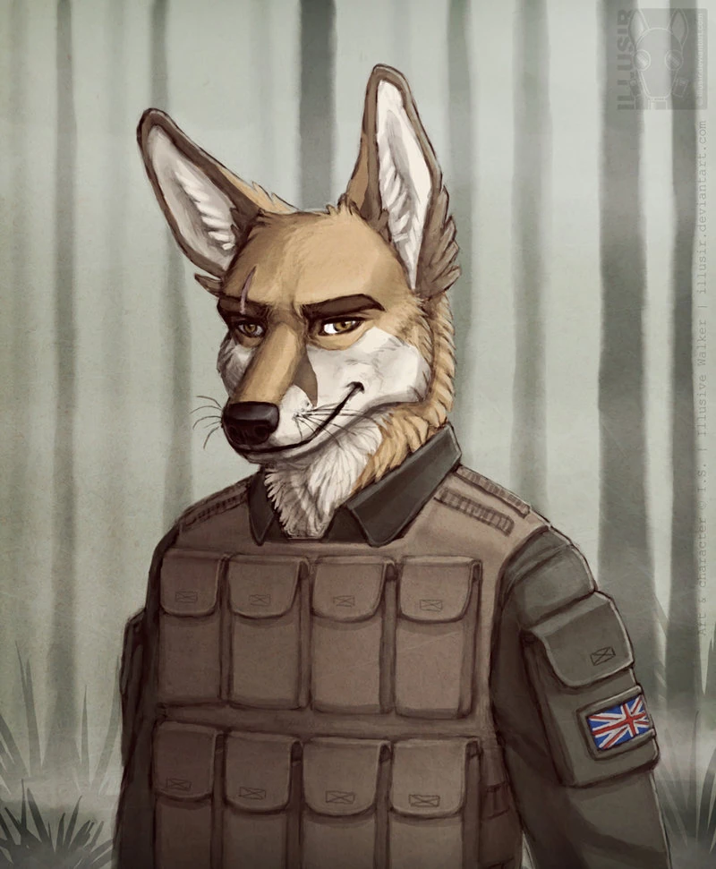 Achi | Achi Foxes Wikia | Fandom