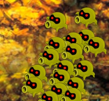 Octorok | Achille12345 Wiki | Fandom