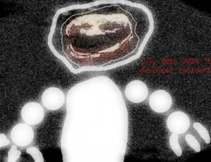 Omniversal Devourer (AR-Verse) | Acid Refuge Lore Wiki | Fandom