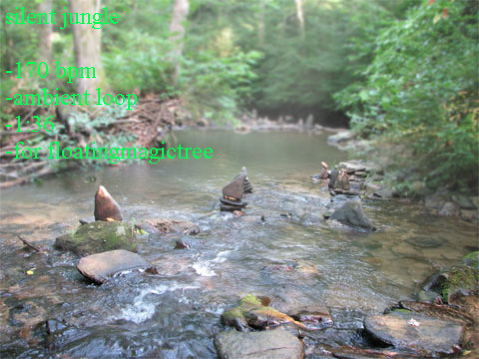 Silent Jungle Acid Notation Wiki Fandom