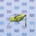 Grasshopper | Animal Crossing New Leaf Wiki | Fandom