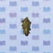 Bagworm | Animal Crossing New Leaf Wiki | Fandom
