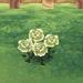 Flower | Animal Crossing New Leaf Wiki | Fandom