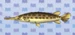 Gar | Animal Crossing New Leaf Wiki | Fandom