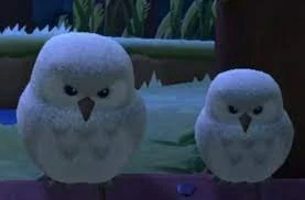 White owl | ACNH Maja Wiki | Fandom