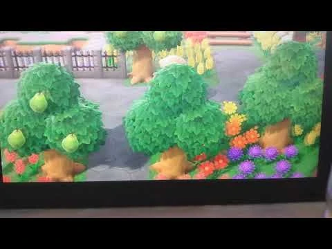 Marshal's 🏡 acnh | ACNH Maja Wiki | Fandom