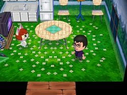 Felicity | ACNH Maja Wiki | Fandom