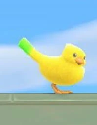 Animal Crossing: New Horizons/Gallery | ACNH Maja Wiki | Fandom