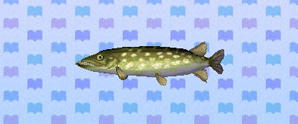 Pike | Animal Crossing: New Leaf Wiki | Fandom