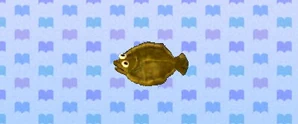 Olive Flounder | Animal Crossing: New Leaf Wiki | Fandom