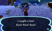 Bee | Animal Crossing: New Leaf Wiki | Fandom