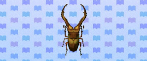 Cyclommatus Stag | Animal Crossing: New Leaf Wiki | Fandom
