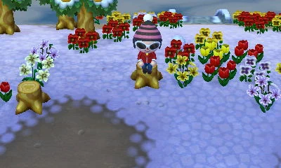 February | Animal Crossing: New Leaf Wiki | Fandom