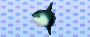 Ocean Sunfish | Animal Crossing: New Leaf Wiki | Fandom
