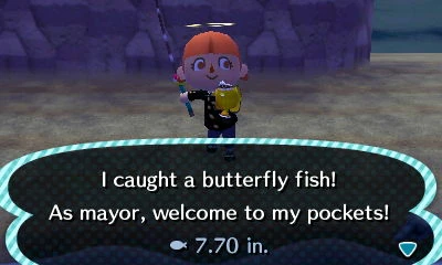 Butterfly Fish | Animal Crossing: New Leaf Wiki | Fandom