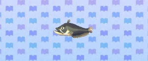 Catfish | Animal Crossing: New Leaf Wiki | Fandom