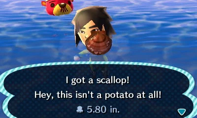 Scallop | Animal Crossing: New Leaf Wiki | Fandom