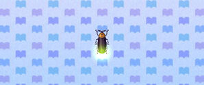 Firefly | Animal Crossing: New Leaf Wiki | Fandom