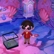 Sweetfish | Animal Crossing: New Leaf Wiki | Fandom