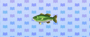 Black Bass | Animal Crossing: New Leaf Wiki | Fandom