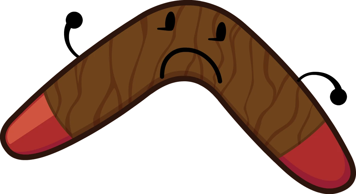 Boomerang | Acronyms Wiki | Fandom
