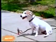 Stinky Diver | Action League Now Wiki | Fandom