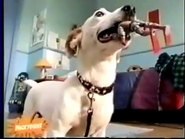 Stinky Diver | Action League Now Wiki | Fandom