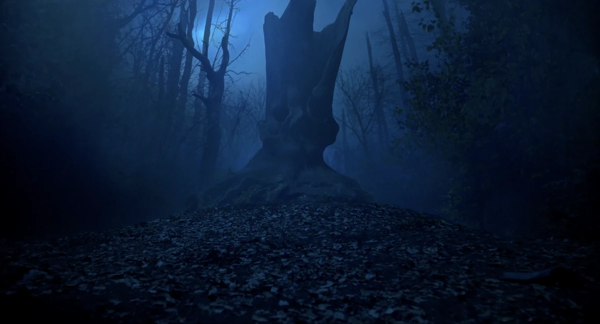 Skull Tree | Actionpedia | Fandom