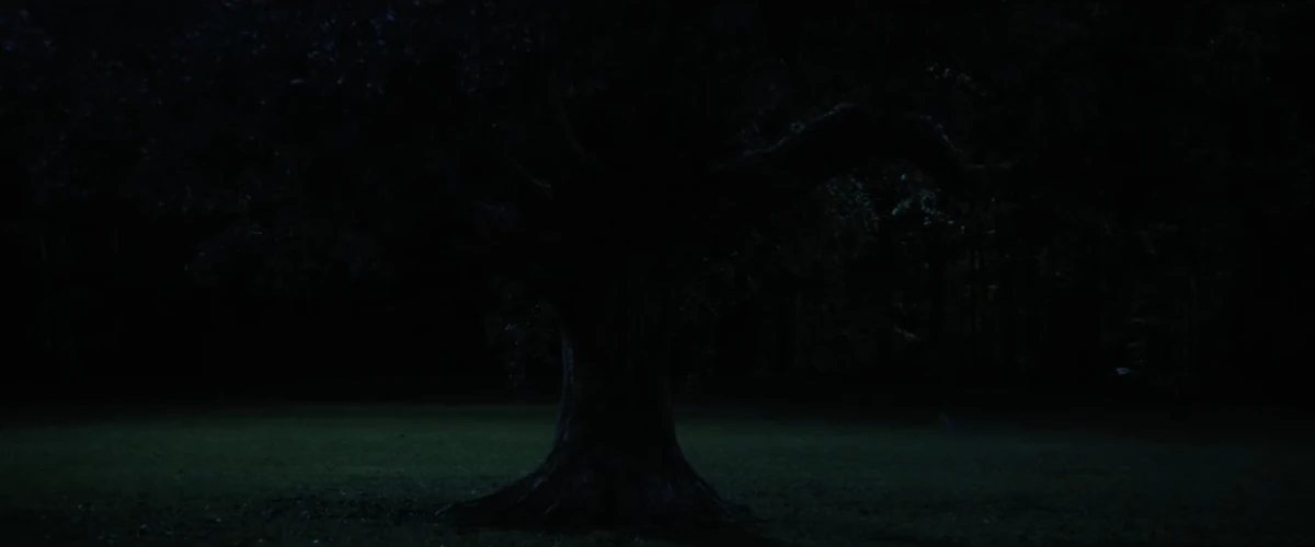 Hanging Tree | Actionpedia | Fandom