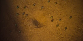 Marbles | Actionpedia | Fandom