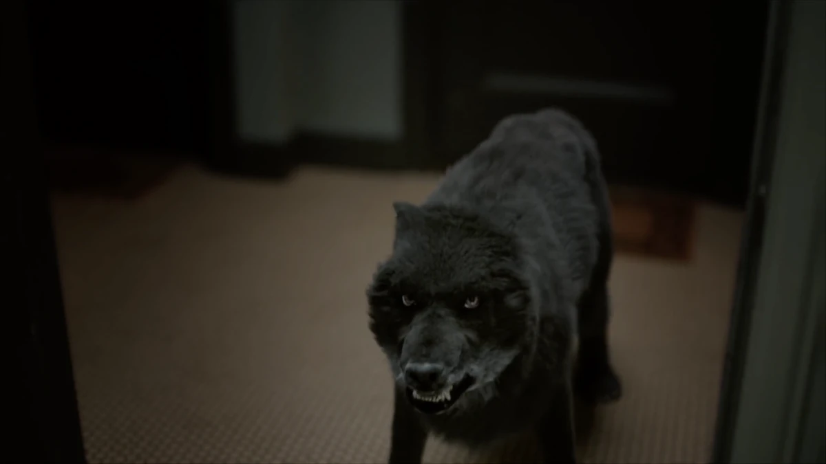 Wolves | Actionpedia | Fandom