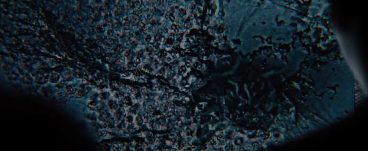 The Flare | Actionpedia | Fandom