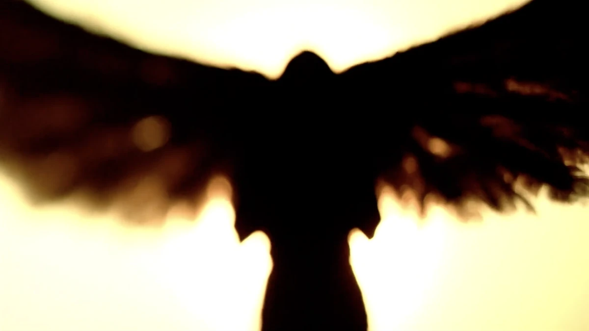 Angels | Actionpedia | Fandom