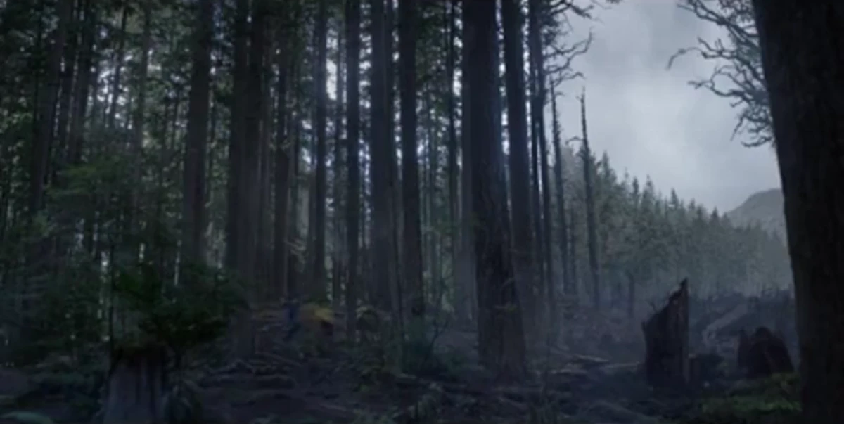 Finite Forest | Actionpedia | Fandom