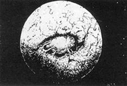 Ghroth | Action Tales Wiki | Fandom