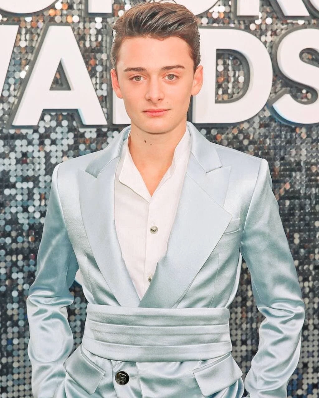 Noah Schnapp | Wiki ActorsWiki | Fandom