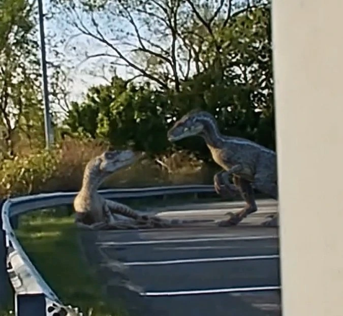 There is a small chance Blue meets Isla Sorna raptors | Fandom