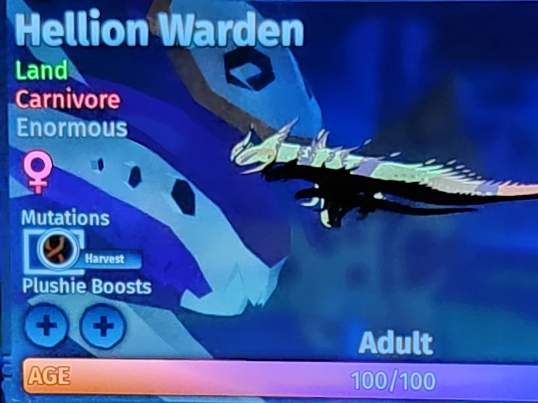 Little mut shop | Fandom