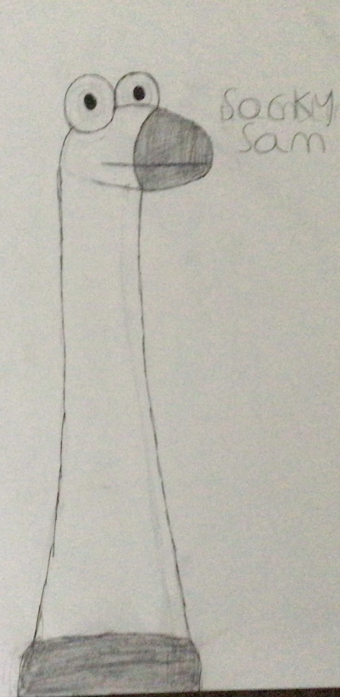 Can someone help me make a page for Socky Sam? | Fandom