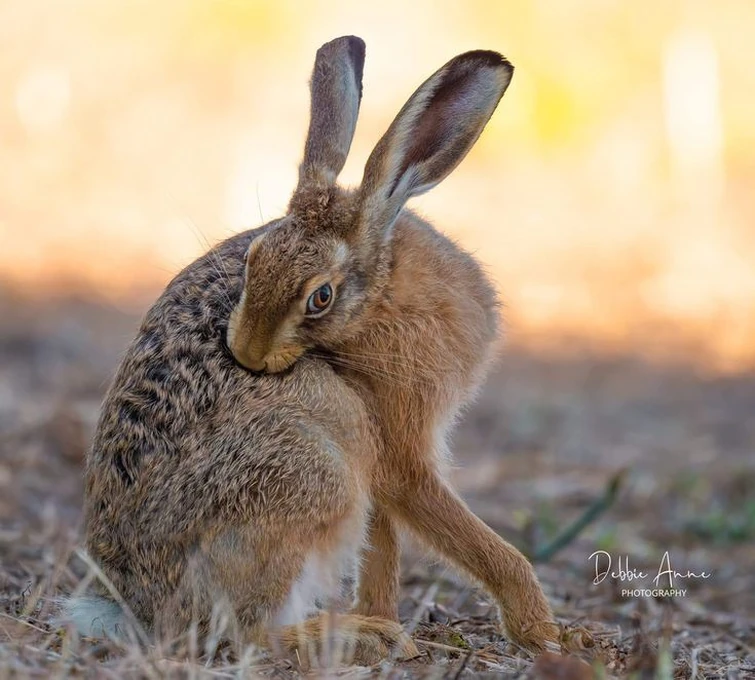 Alright back to working! | Fandom