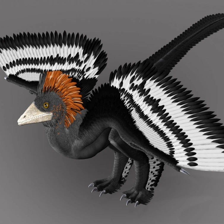 anchiornis huxleyi themed kaluaka | Fandom