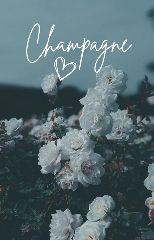 Of Love and Sorrow - Chapter Two | Fandom