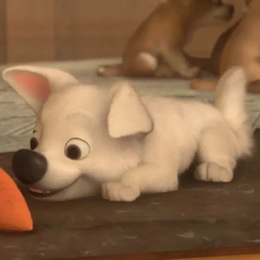 Bolt Puppy Pics #7. Which picture is the best out of these? | Fandom