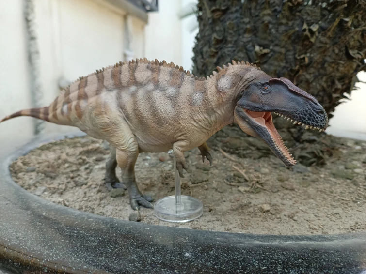 PNSO Acrocanthosaurus photo bomb | Fandom