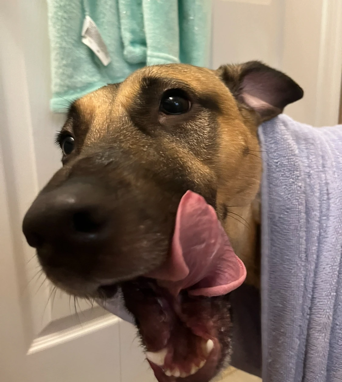 all clean!! | Fandom