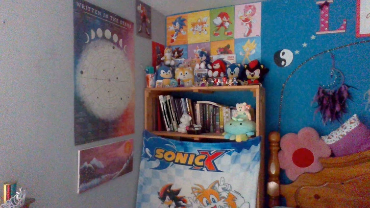 Behold, my Sonic collection. | Fandom