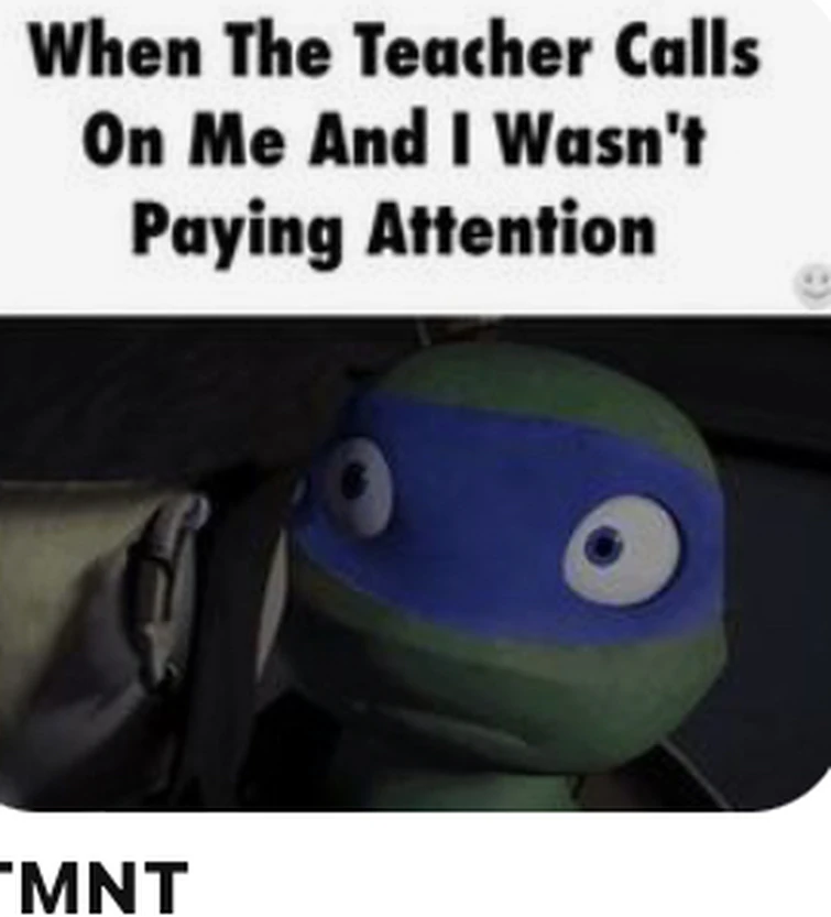 TMNT Meme Of The Day | Fandom