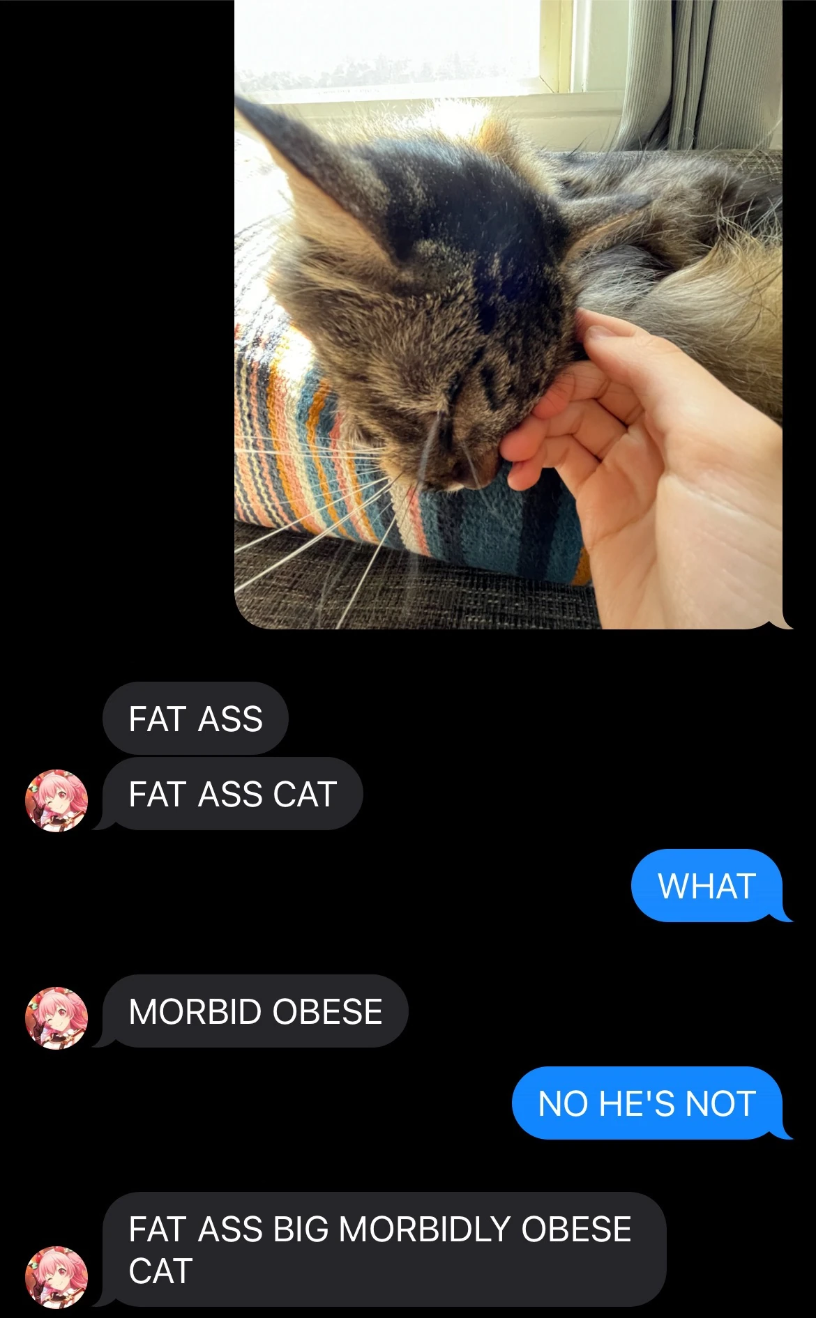 SHE'S BODY SHAMING MY CAT | Fandom