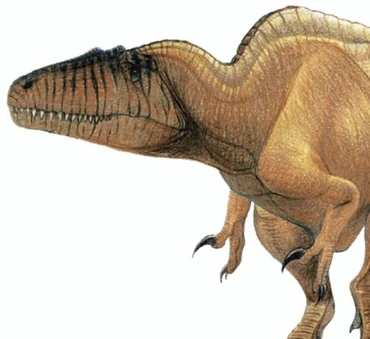 Dinosaur Favouritism Season 3 Episode 4: Favourite Carcharodontosaurid ...